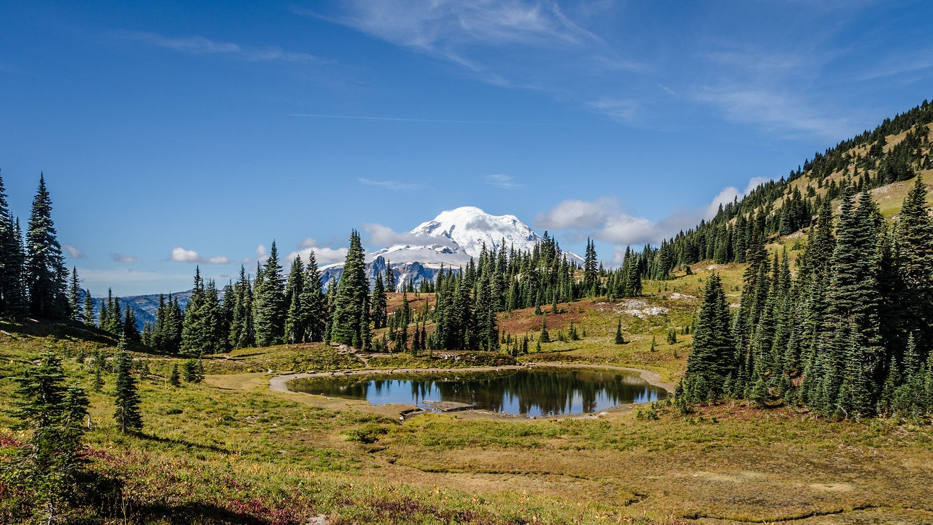 Camping on Public Land 101: The Dos and Don'ts of Dispersed Camping ...