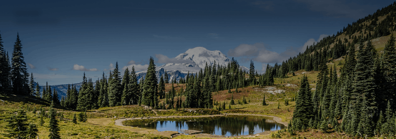 Camping on Public Land 101: The Dos and Don'ts of Dispersed Camping ...